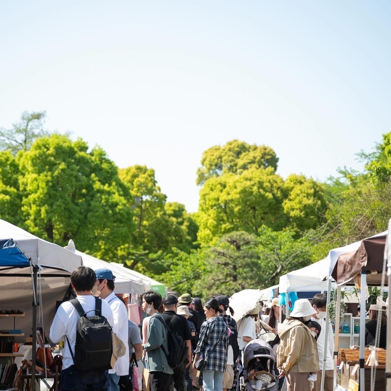 【終了】第7回 ロハスミーツ高槻 出店募集を開始いたしました - ロハスミーツ LOHAS Meets